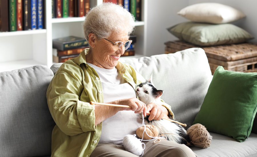Personalise A Care Home Space To Make It Feel Like Home